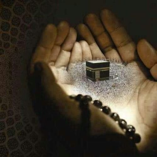 Islamic DPs For Whatsapp - Trend Dpz