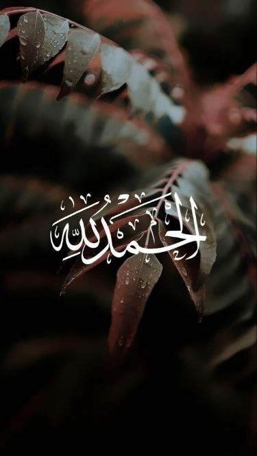 Islamic DPs For Whatsapp - Trend Dpz