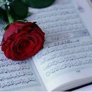 Islamic DPs For Whatsapp - Trend Dpz